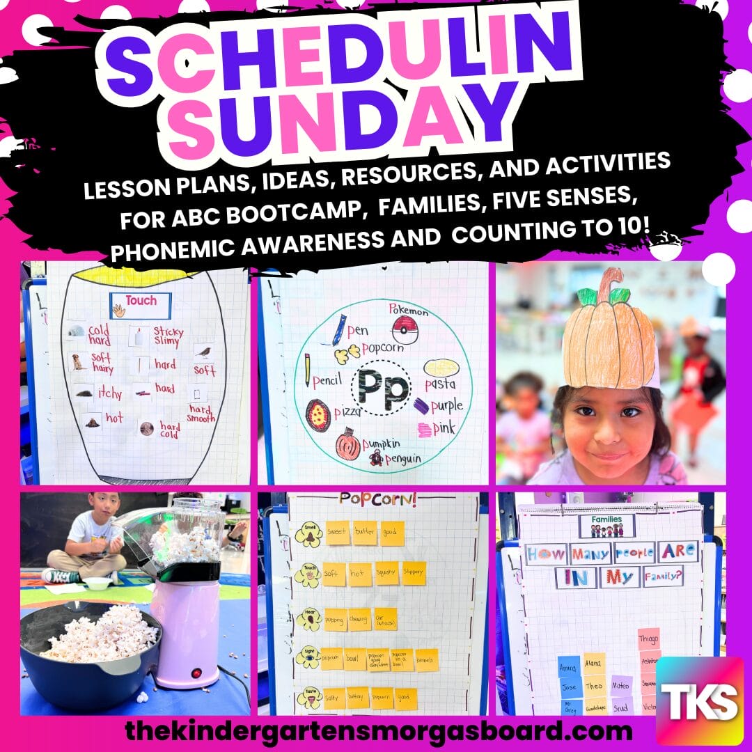 Kindergarten Lesson Plans: ABC BOOTCAMP, Families, Sorting And Five ...