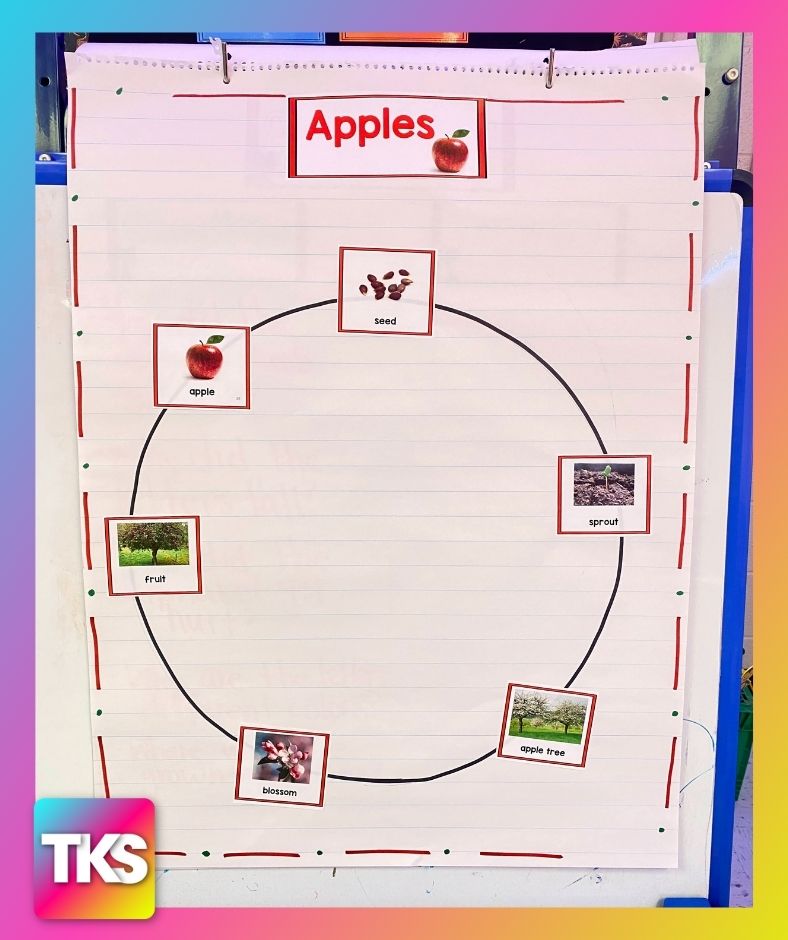 All About Apples: Apple Activities | The Kindergarten Smorgasboard