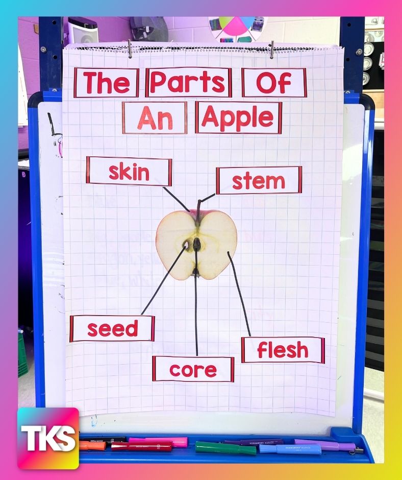All About Apples: Apple Activities | The Kindergarten Smorgasboard