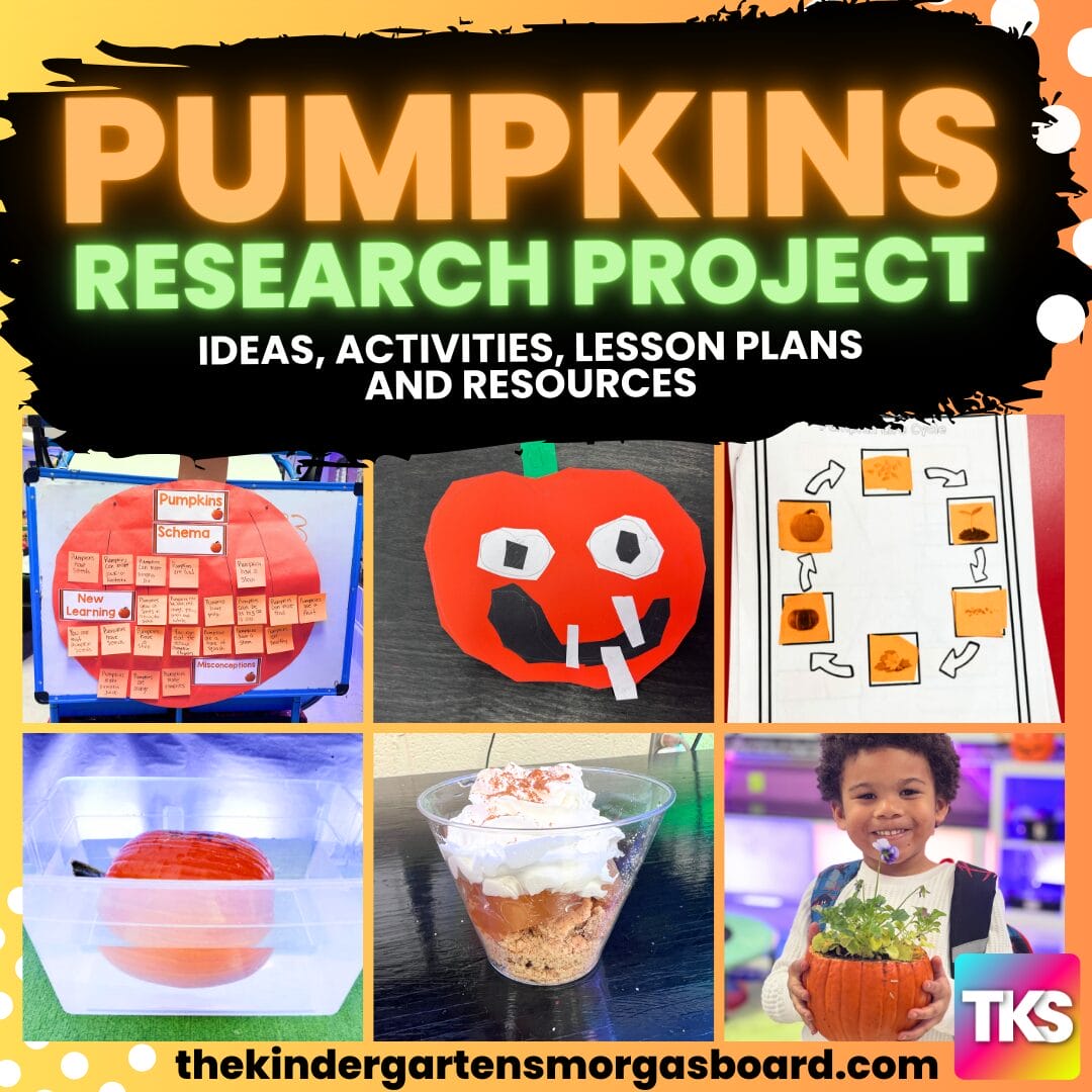 Kindergarten Pumpkin Activities: Pumpkins Research Project | The ...