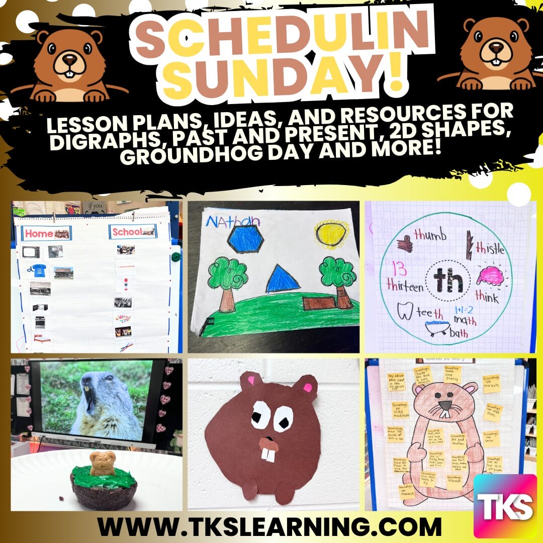 Lesson Plans: Groundhog Day, Past And Present Social Studies, Shapes ...
